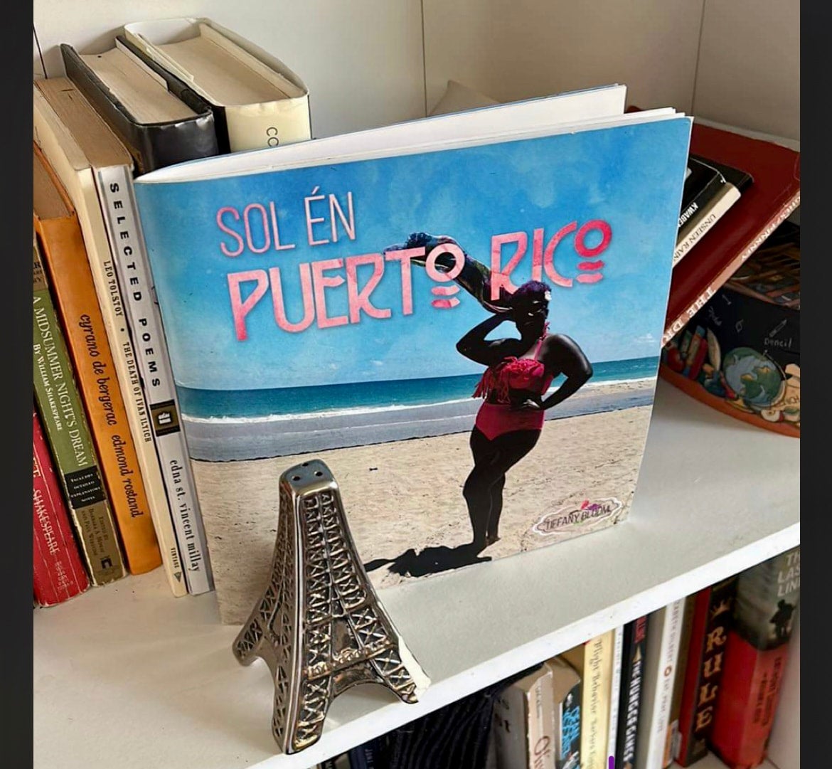 Sol En Puerto Rico Poetry Book | FlyBlooms by Funky Fly FlowerChild